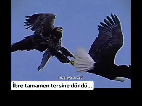 ibre tamamen tersine döndü