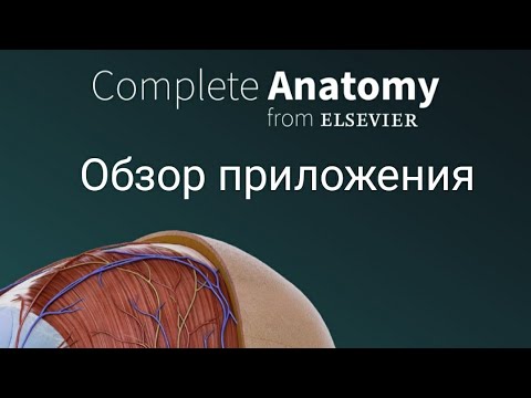 Обзор анатомического приложения Complete anatomy. - YouTube