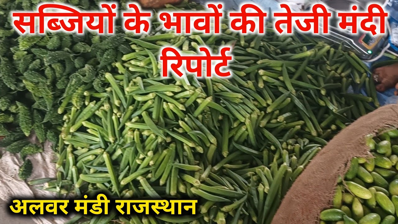 Today vegetable Market Price Alwar/ Rajasthan Wholesale Vegetable ...