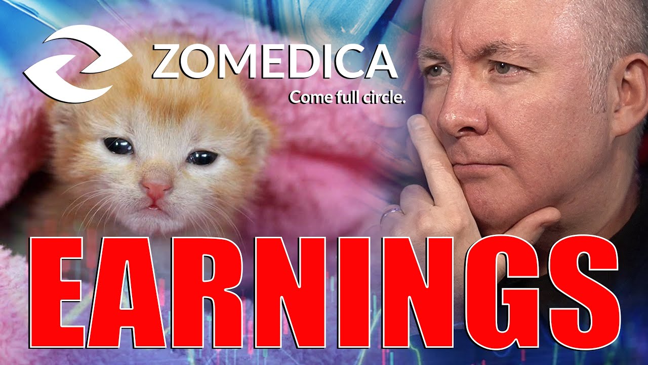 ZOM Stock - Zomedica EARNINGS CALL - Martyn Lucas Investor ...