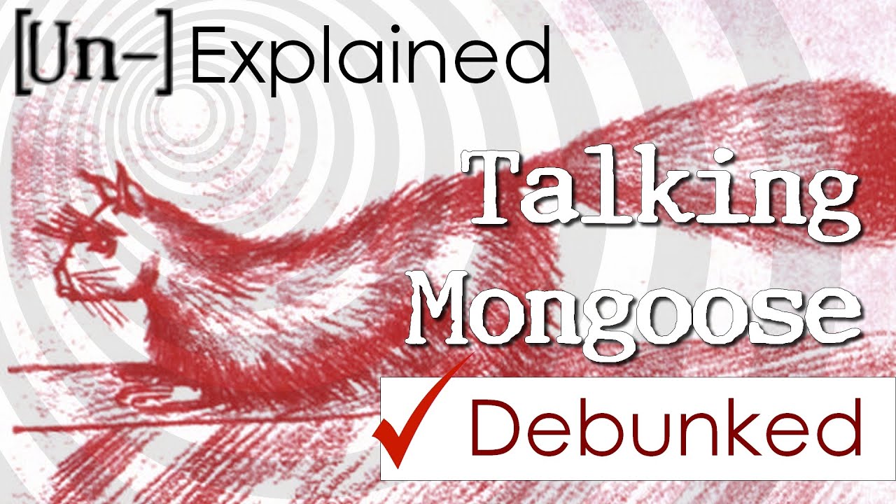 Gef: The Talking Mongoose - Debunked and Explained - YouTube