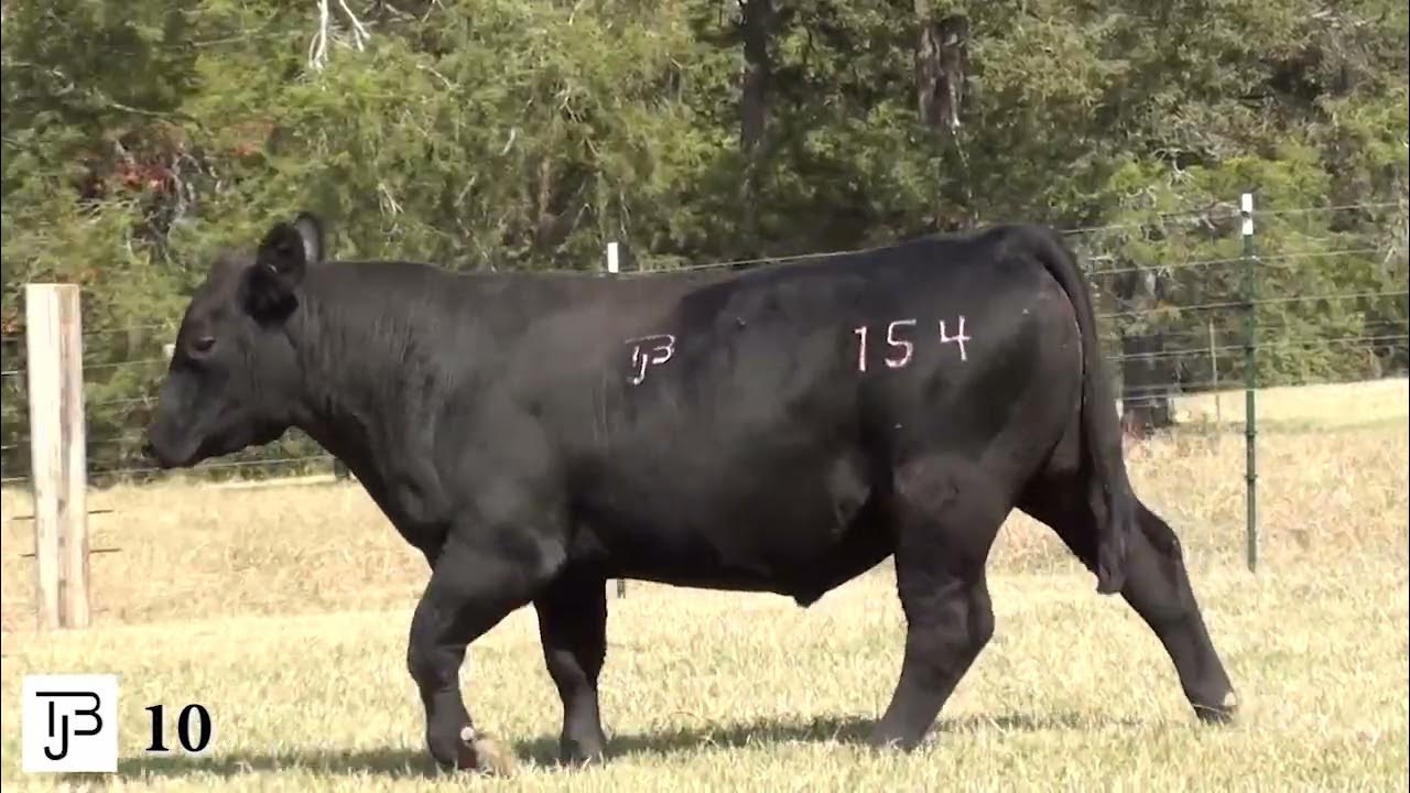 Lot 10 154J - YouTube