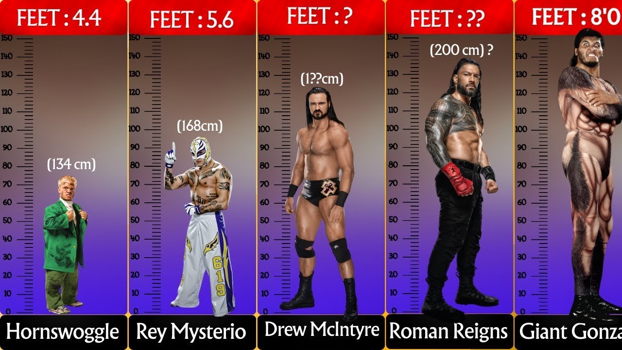 The REAL Height Of WWE Biggest Superstars Revealed - YouTube
