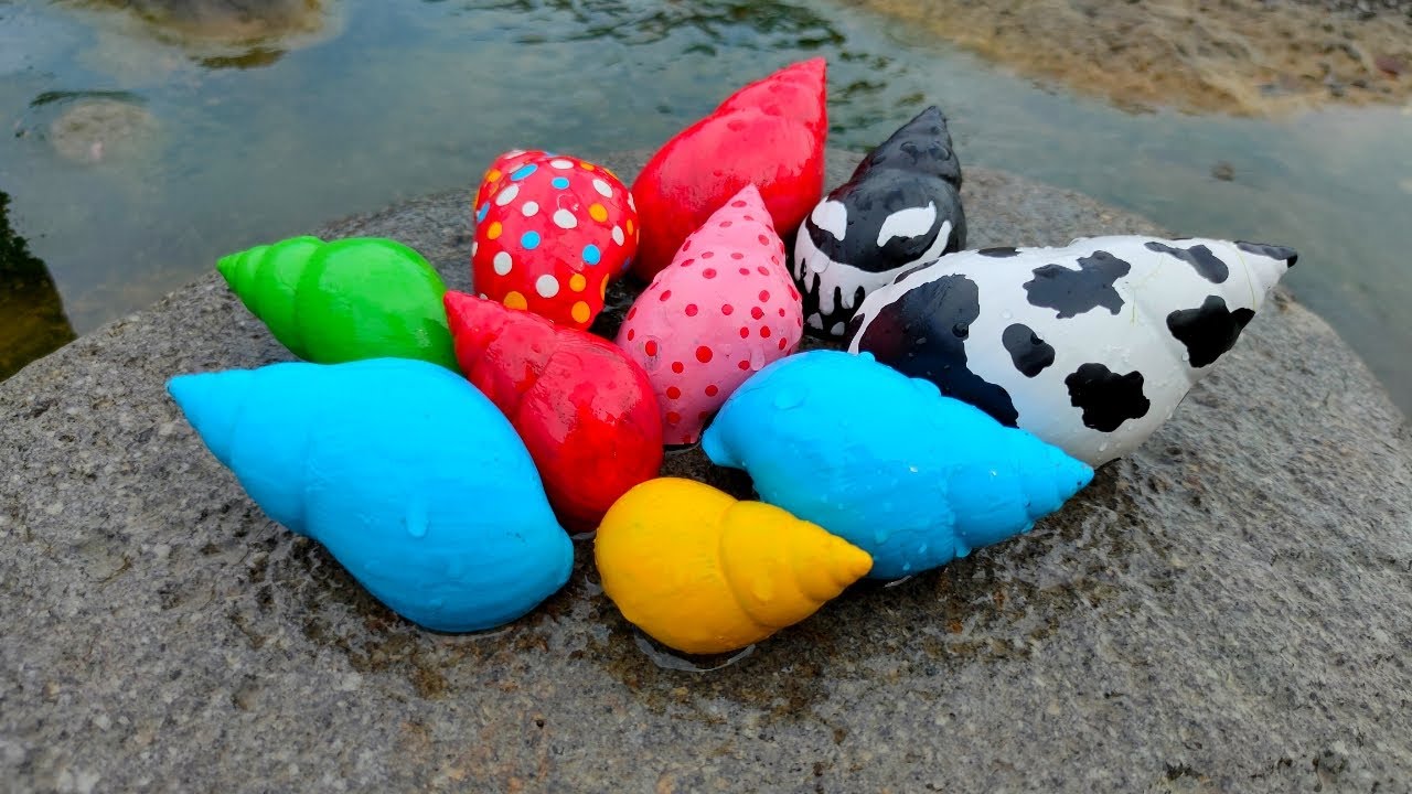 🌈 Siput Nanas, Siput Macan, Siput Jamur, Bekicot, Kelomang dan Umang ...