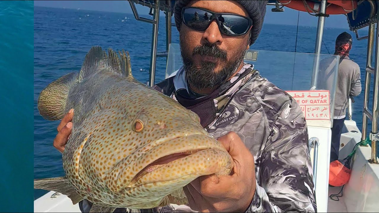 Deep Sea Fishing with Grouper, Kingfish and Barracuda | Deep sea ...
