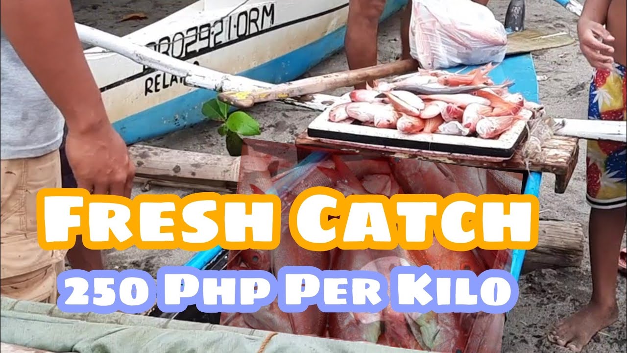 FRESH CATCH FISH 250 PER KILO | SEPTEMBER 3 2021 - YouTube