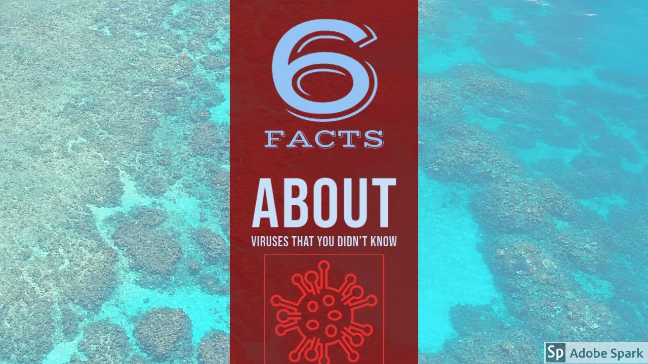 Six facts about 'Viruses' that you didn't know - YouTube