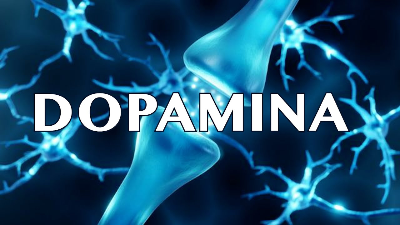¿Qué supone la dopamina en las redes sociales? #mundotv - YouTube