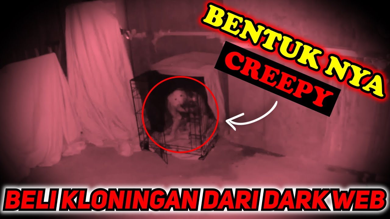 BENTUK NYA CREEPY BELI MAKHLUK KLONINGAN CREEPY DARI DEEP WEB / DARK ...