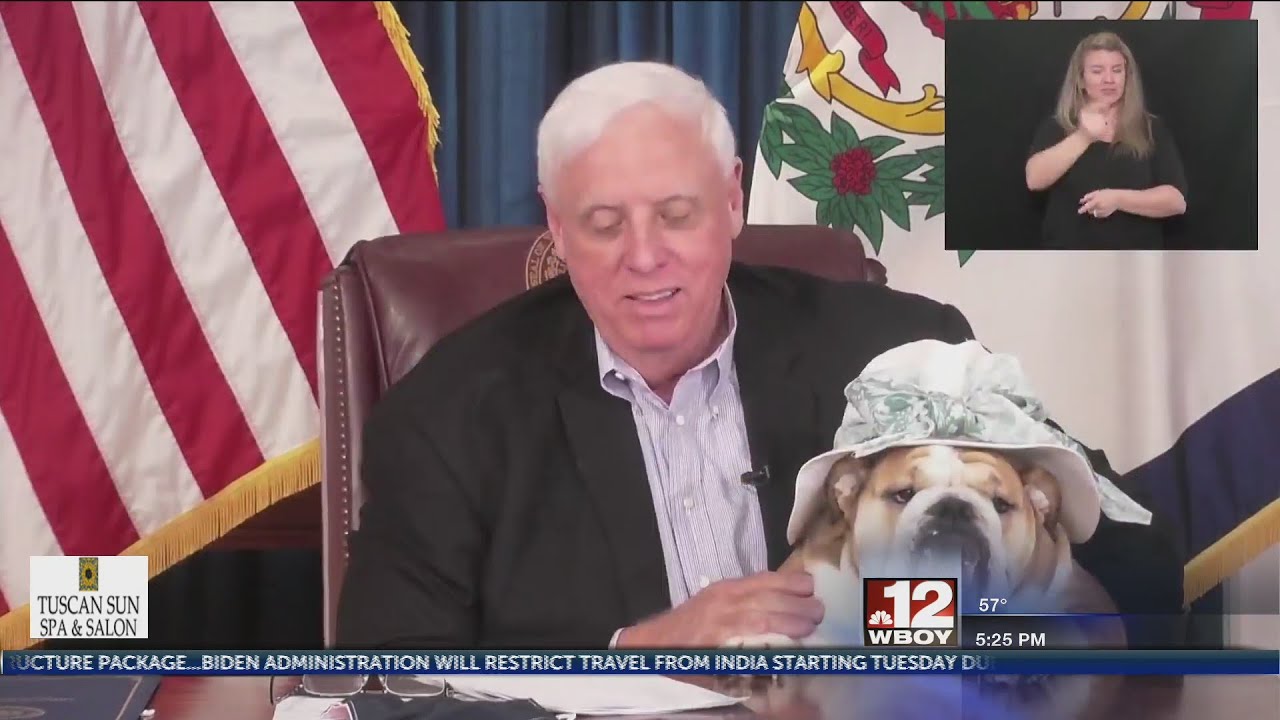 Baby Dog selects her Kentucky Derby picks - YouTube