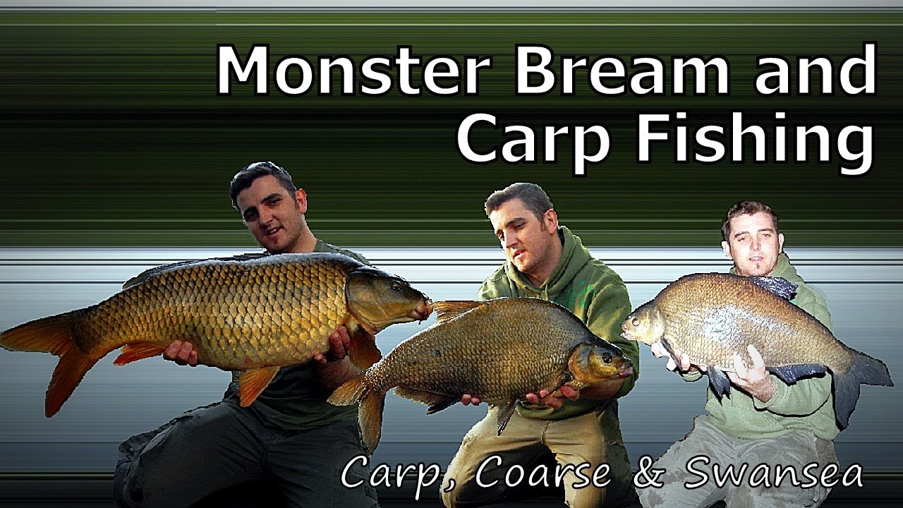 Carp and Bream Fishing *** Monster Bream. The Fendrod Lake. Video 111 ...