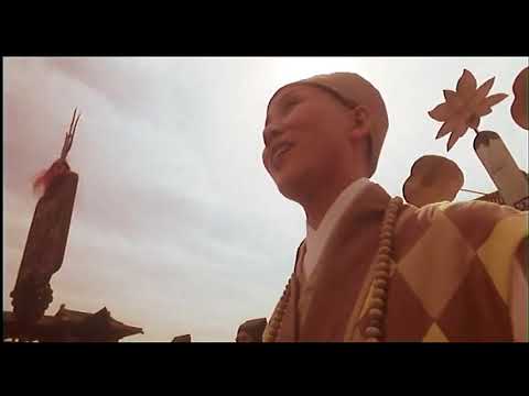 Film Evil Cult   Tajemství Kung Fu online   Serialos eu