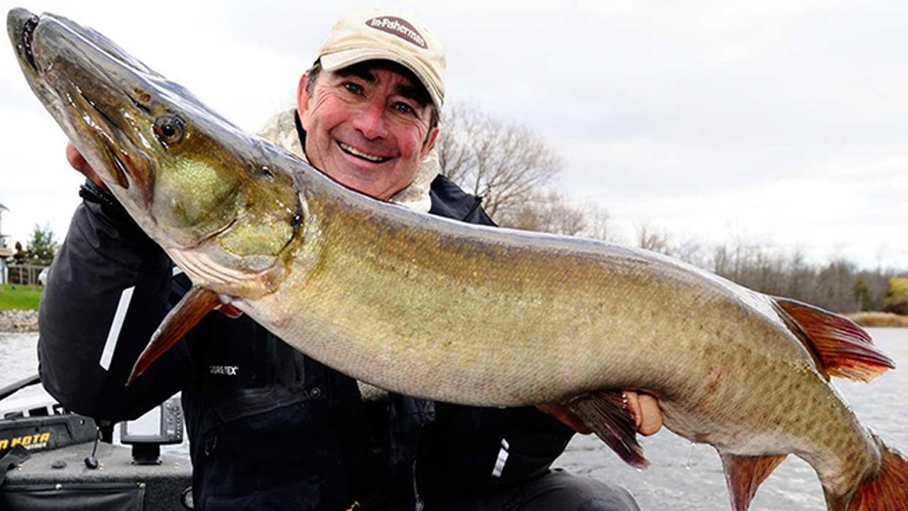 Fall Fishing Tips and Tricks from Gord Pyzer | Fish Talk with the Doc ...