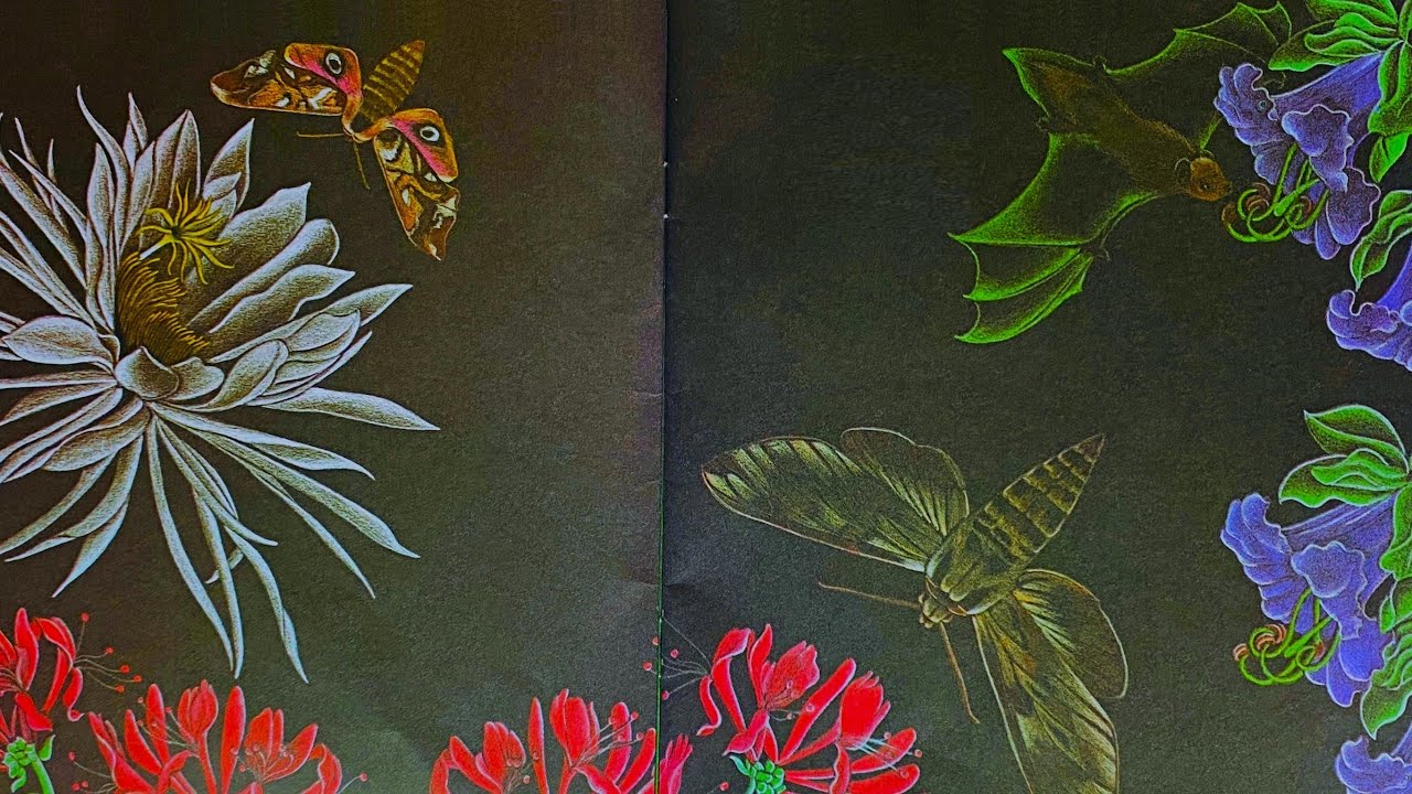 🌺 The Reason for a Flower by Ruth Heller 1983 - YouTube