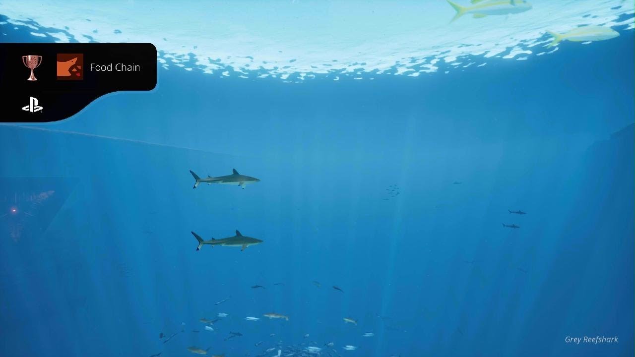 ABZU PS5 - Food Chain Trophy - YouTube