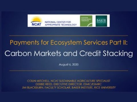 Payments for Ecosystem Services. Part 2. Carbon Markets and Credit Stacking - YouTube
