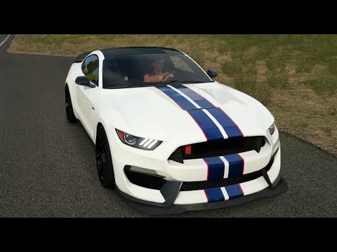Shelby Mustang GT350R FH3 - YouTube