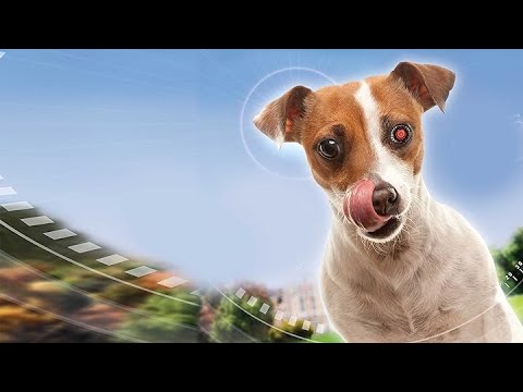 A.R.C.H.I.E. (2016) | Trailer | Michael J. Fox, Katherine Isabelle, Sarah Desjardins
