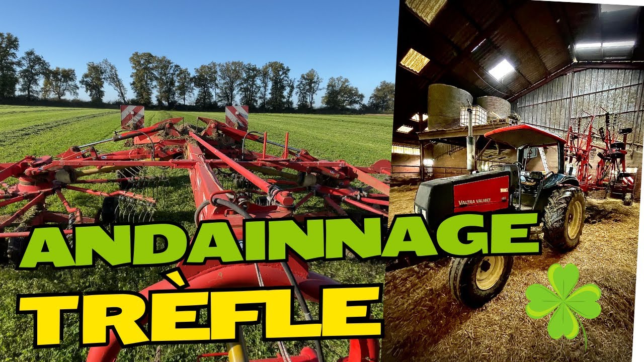 Andainnnage TREFLE - YouTube