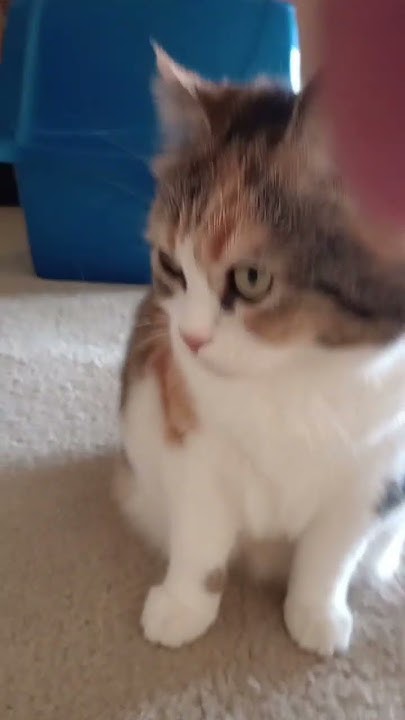 Tinker Youtube