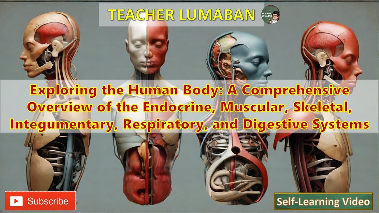 Exploring the Human Body: A Comprehensive Overview of the Endocrine ...
