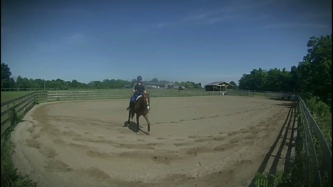 Peppermint walking - YouTube