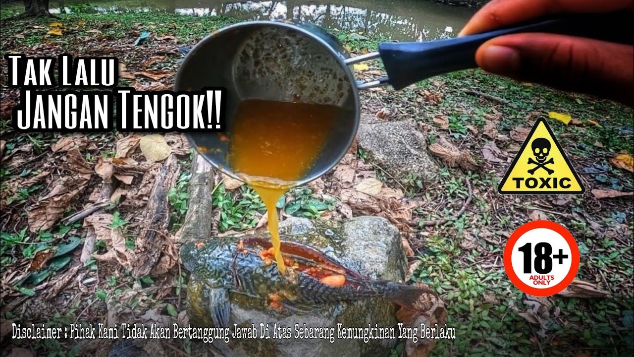Ikan Bandaraya Begitu Enak Jika Di Makan Begini Youtube