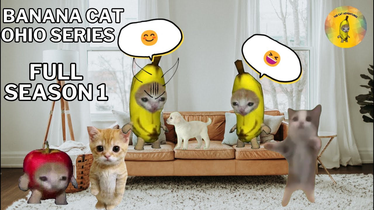 Banana Cat Ohio Series FULL SEASON 1 - YouTube