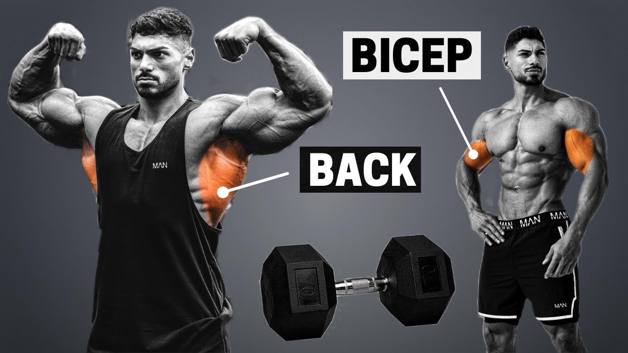 High - Volume Back And Biceps Workout With Dumbells - YouTube