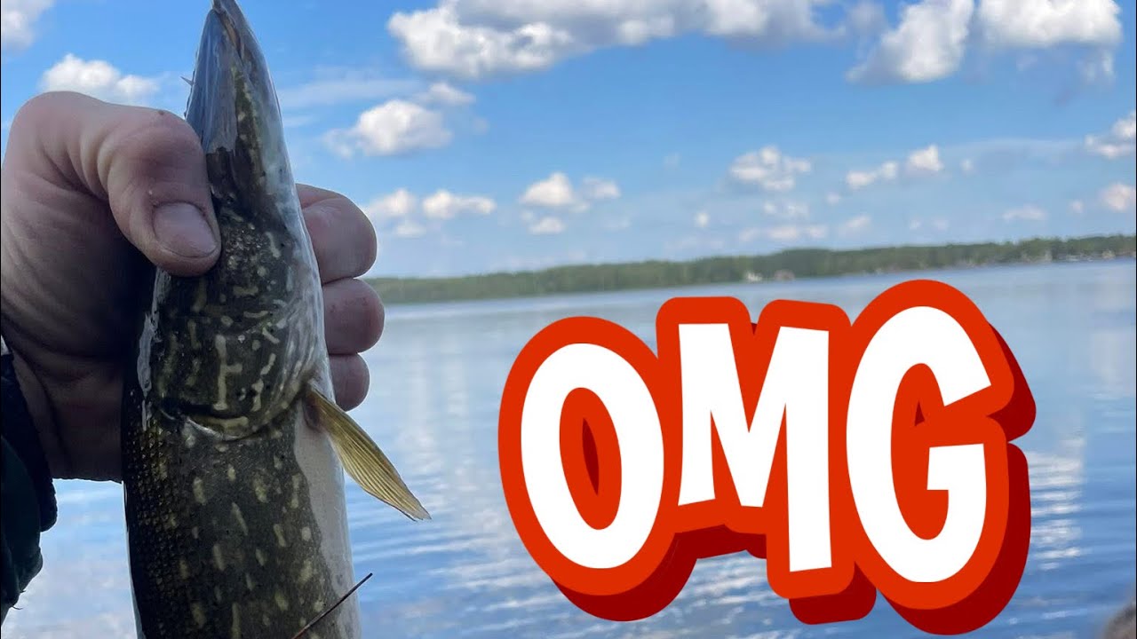DUDE MURDERD THAT PIKE! INSANE DUDE ON KAYAK! Leech lake federal dam ...
