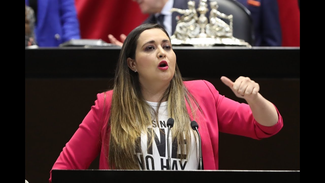 Dip. Cynthia Iliana López Castro (PRI) / Dictamen en materia político ...