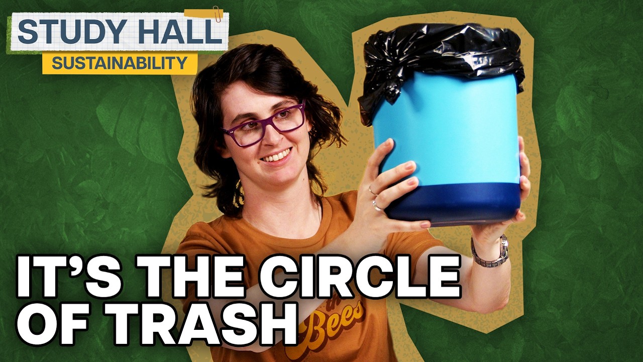 What is a circular economy? | Sustainability 13 of 31 | Study Hall ...