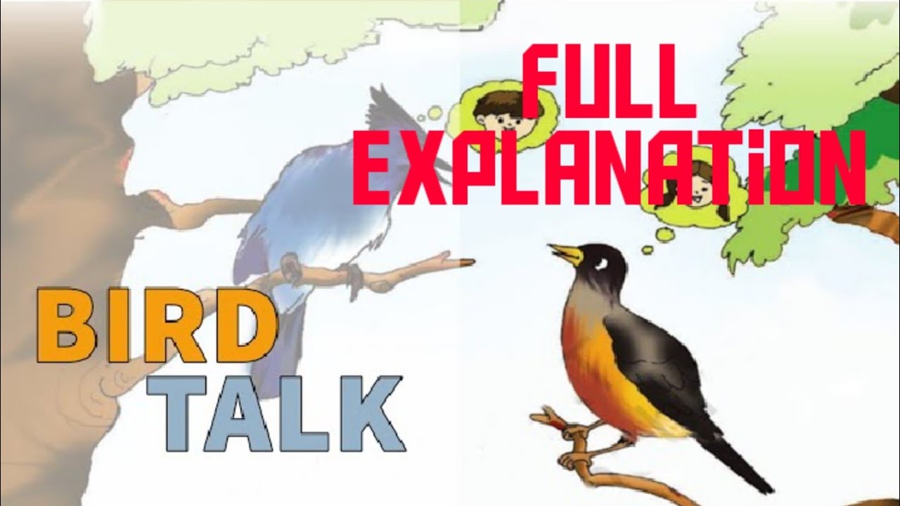 BIRD TALK Full Explanation class 3 Ncert English YouTube bird-talk-full-explanation-class-3-ncert-english-youtube