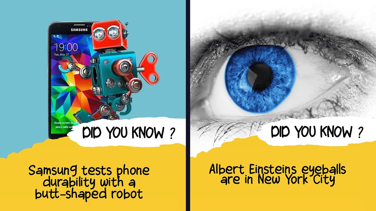 Random Amazing Facts Did You Know Facts 50 Facts You Didn t Know random-amazing-facts-did-you-know-facts-50-facts-you-didn-t-know