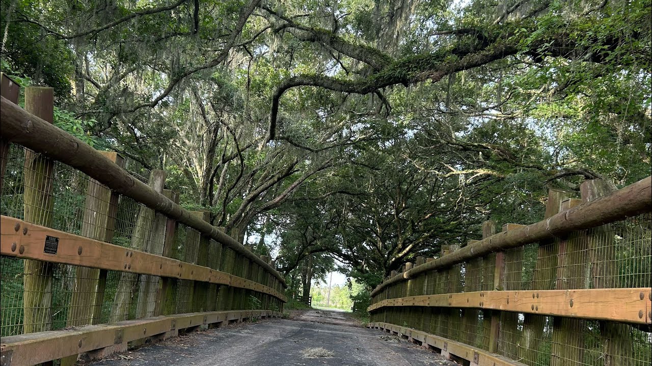Father’s Day hike at Lower Green Swamp nature preserve - YouTube
