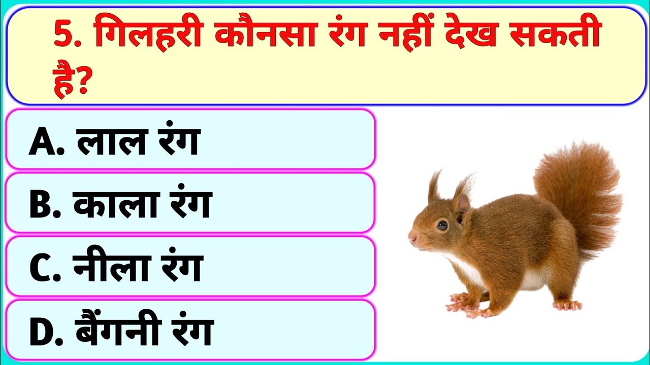 GK Gk Facts Gk In Hindi Gk gk-gk-facts-gk-in-hindi-gk