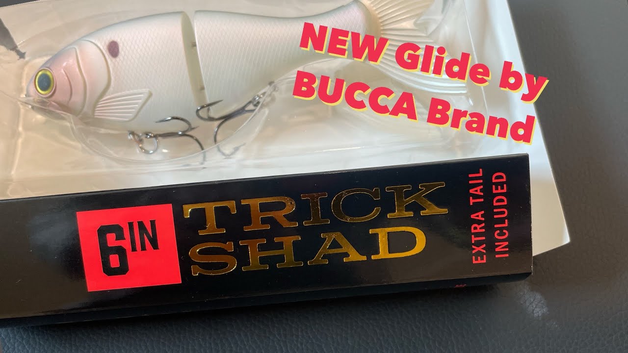 🚨 GLIDE Bait NEW Bucca Brand 6” Trick Shad | | New Tackle & Trends # ...