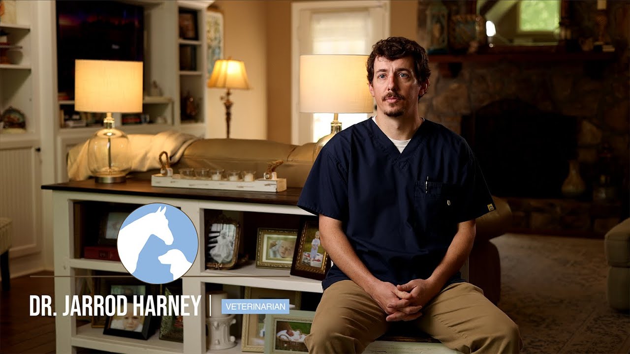 I'm Dr. Harney. Welcome to Harney Veterinary Services, LLC - YouTube