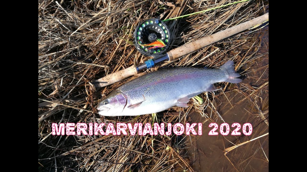 Merikarvianjoki 2020 | Kalastus 2020 - YouTube