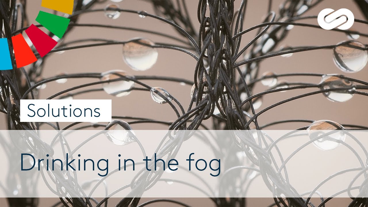 Drinking in the fog - SOLUTIONS - YouTube