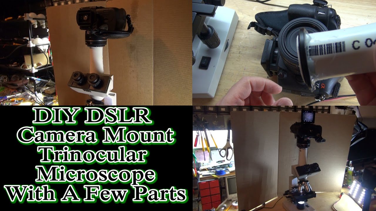 How To Make A DIY DSLR Camera Mount For Your Trinocular Microscope With ...
