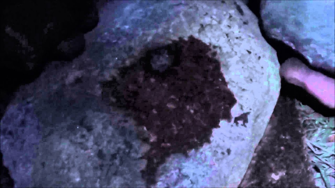 Fuego por percusión (Fire by percussion) - YouTube