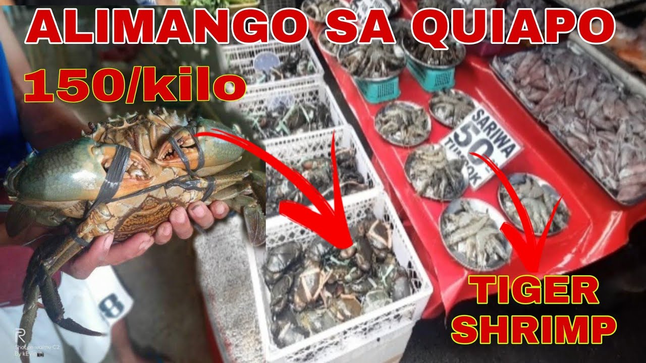 MURANG ALIMANGO AT HIPON SA QUIAPO | MURANG BILIHIN SA QUIAPO - YouTube