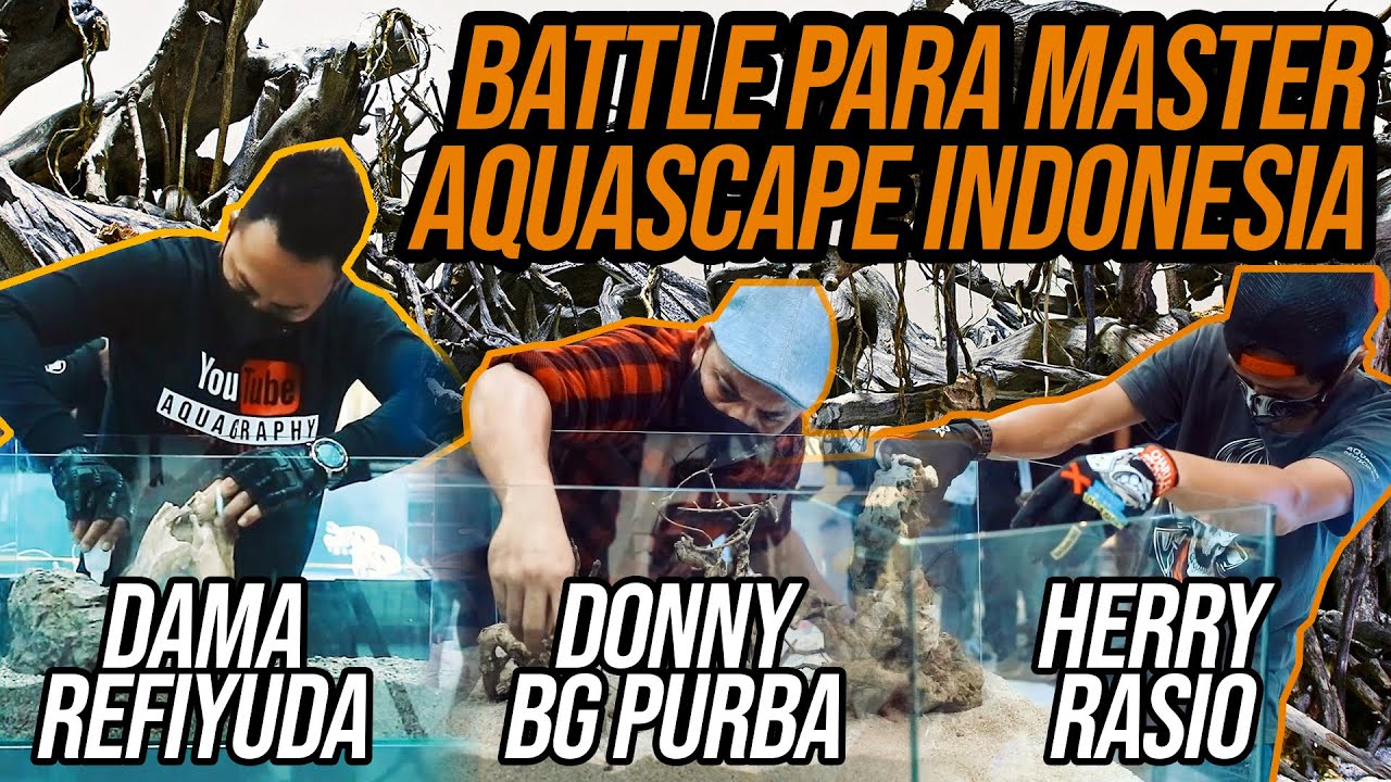 Live Setting Juri Ngayogyakarta Aquascape Kontes 2020 - Herry Rasio ...