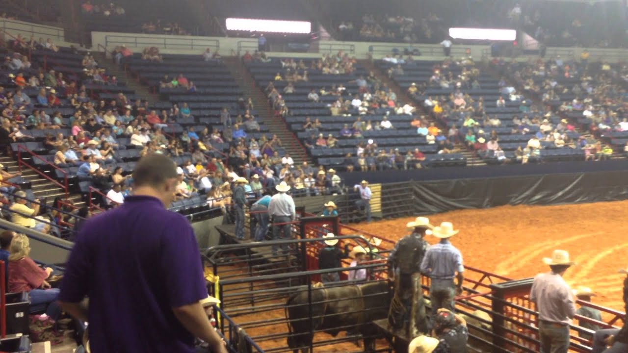 Bull Riding - Rodeo New Orleans - 2014 - YouTube