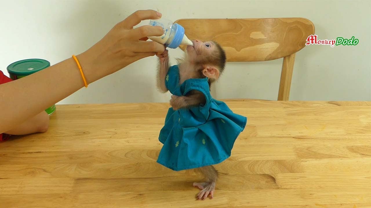 Very Precious Shusy Standing Drink With Cutest Skirt - YouTube