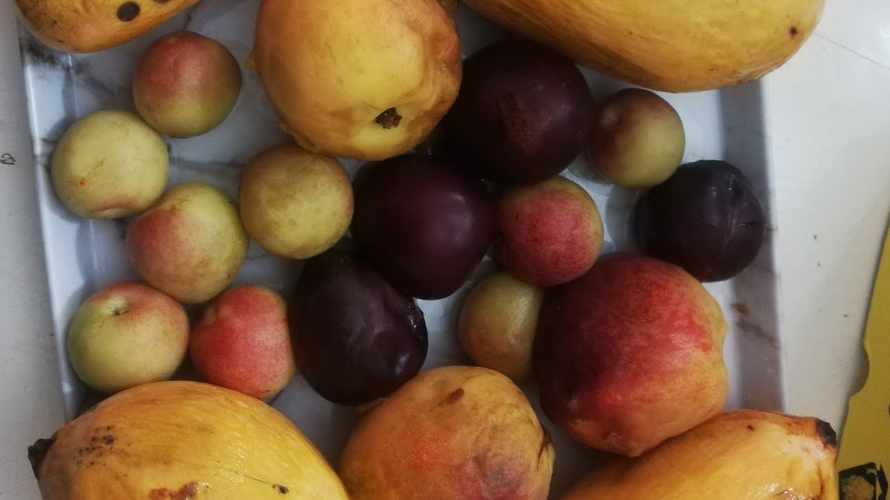 Pakistani sy Fruit aya|someone bring Pakistani fruit for me||# ...