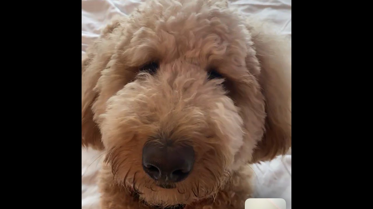 The Tomb BO6 Easter Egg - YouTube