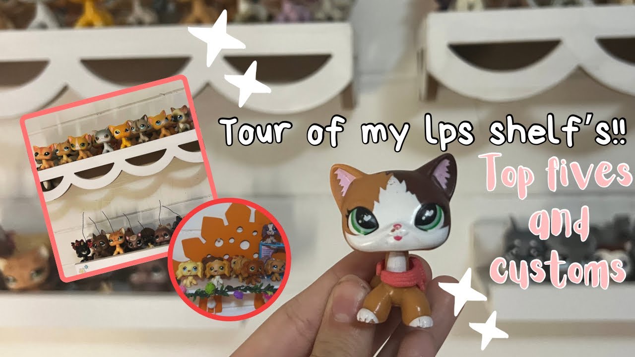 Tour of my lps shelf’s!! (Top fives and customs) - YouTube
