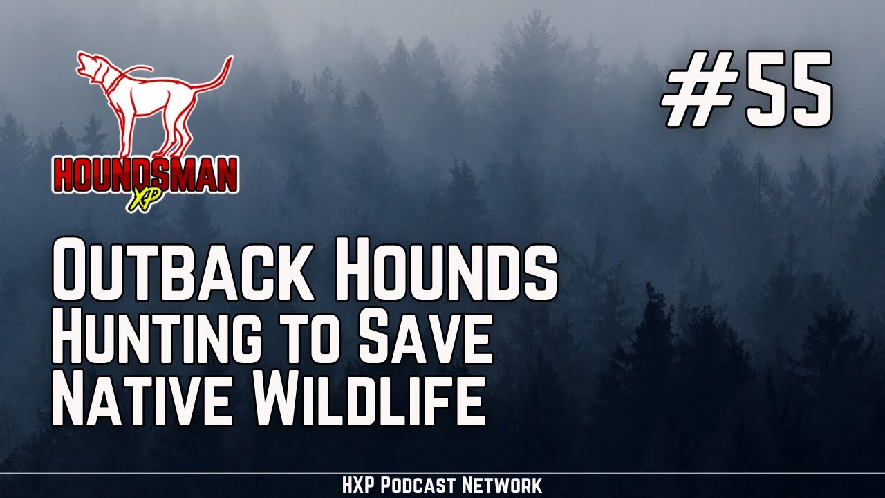 Outback Hounds, Hunting to Save Native Wildlife | HXP #55 - YouTube